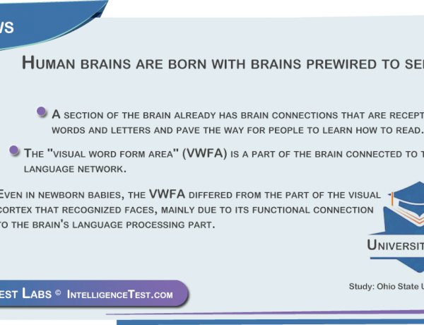 Age related memory loss prevention - Intelligence and brain research news