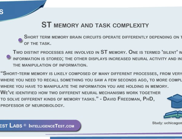 Keeping the beat – it’s all in your brain - Intelligence and brain ...