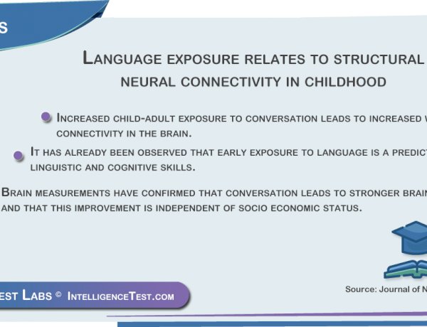 Age related memory loss prevention - Intelligence and brain research news