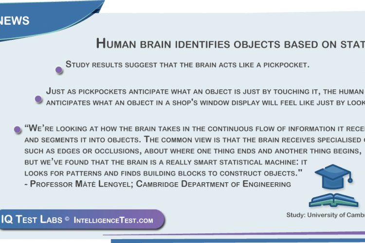 Human brain identifies objects based on statistics - Intelligence and ...