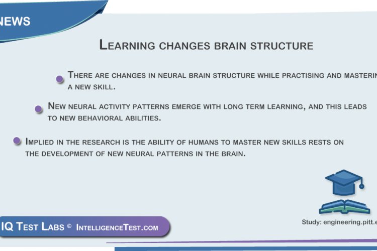 Learning changes brain structure - Intelligence and brain research news